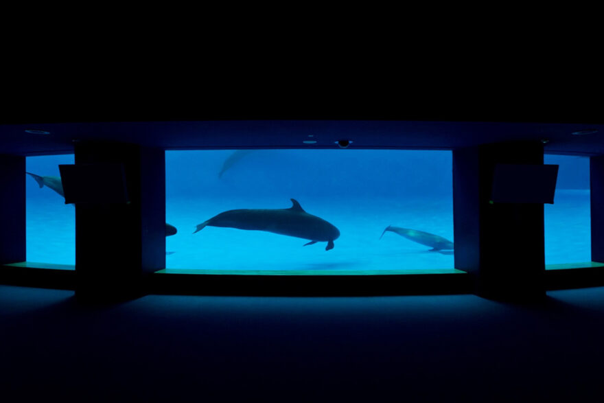 Facility Map | Aqua World Ibaraki Prefectural Oarai Aquarium [Official]