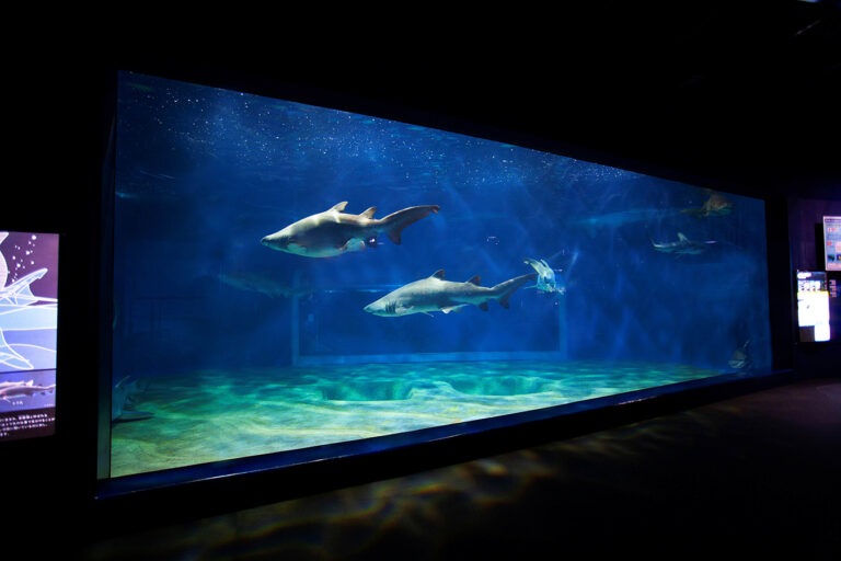 Facility Map | Aqua World Ibaraki Prefectural Oarai Aquarium [Official]